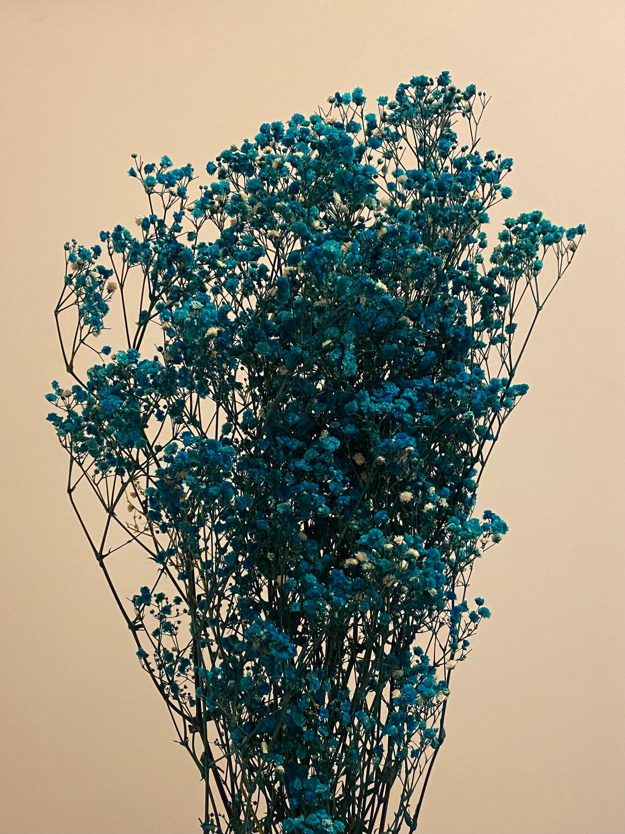Dried & Preserved Flowers - Golden Touch Flowers
